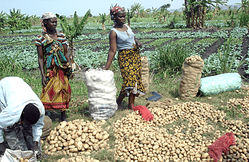 Food sovereignty movement goes global - Positive News - Positive News