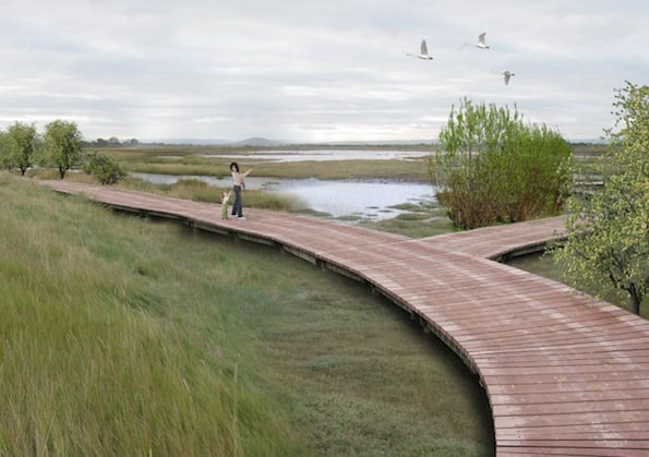 Work starts on ambitious wetland project in Somerset - Positive News ...