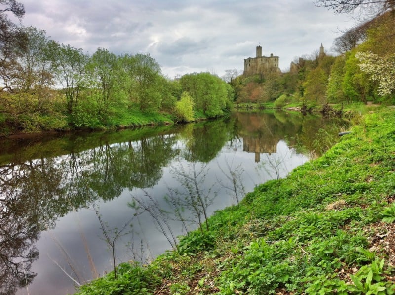 Britain's urban rivers are at their cleanest in 20 years, study ...