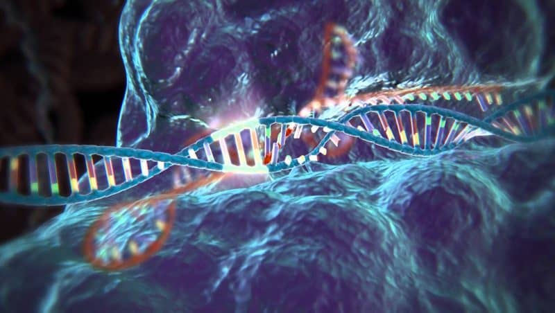 Genius genes: How CRISPR is revolutionising DNA manipulation - Positive ...