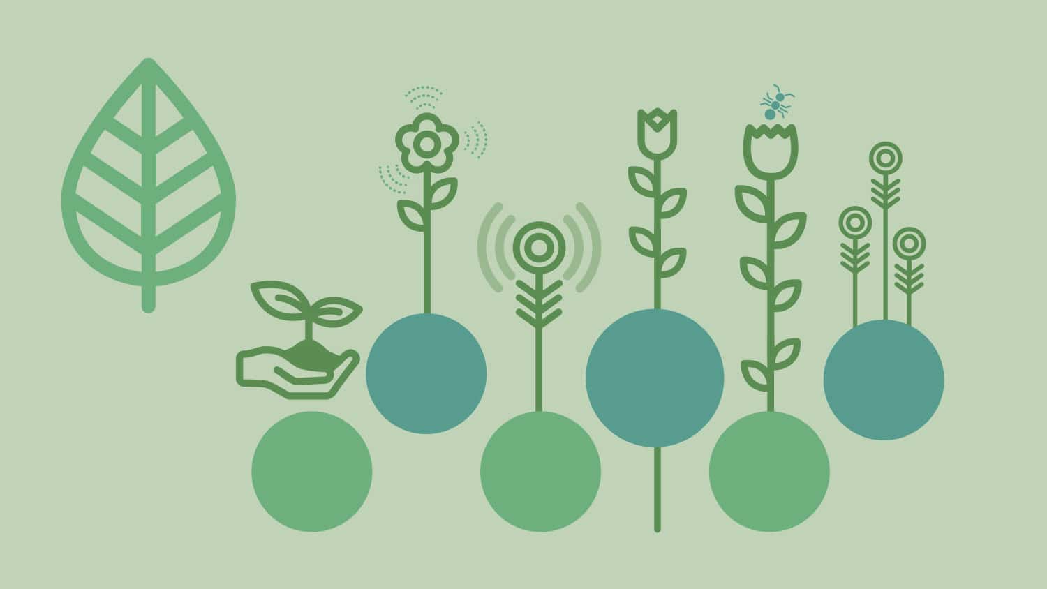 Fascinating facts: the intelligence of nature - Positive News