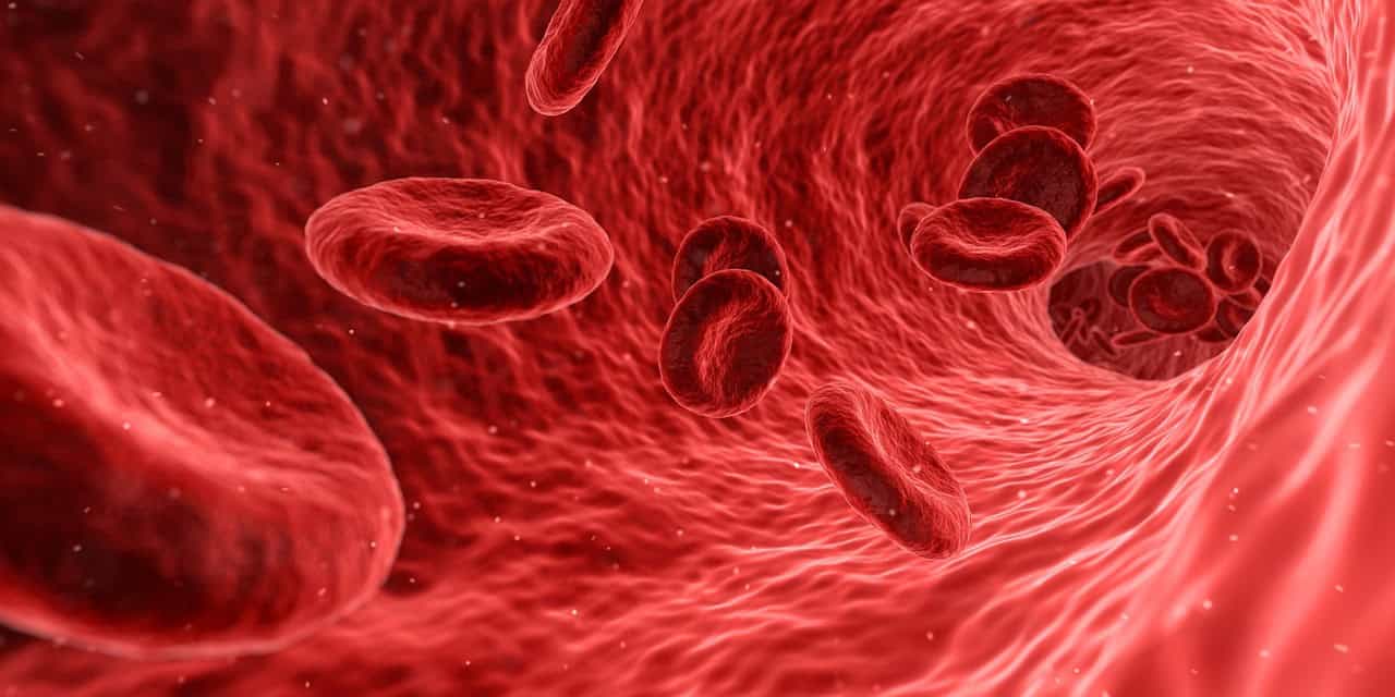 Sanitary towel ad becomes first to show ‘real’ blood - Positive News ...