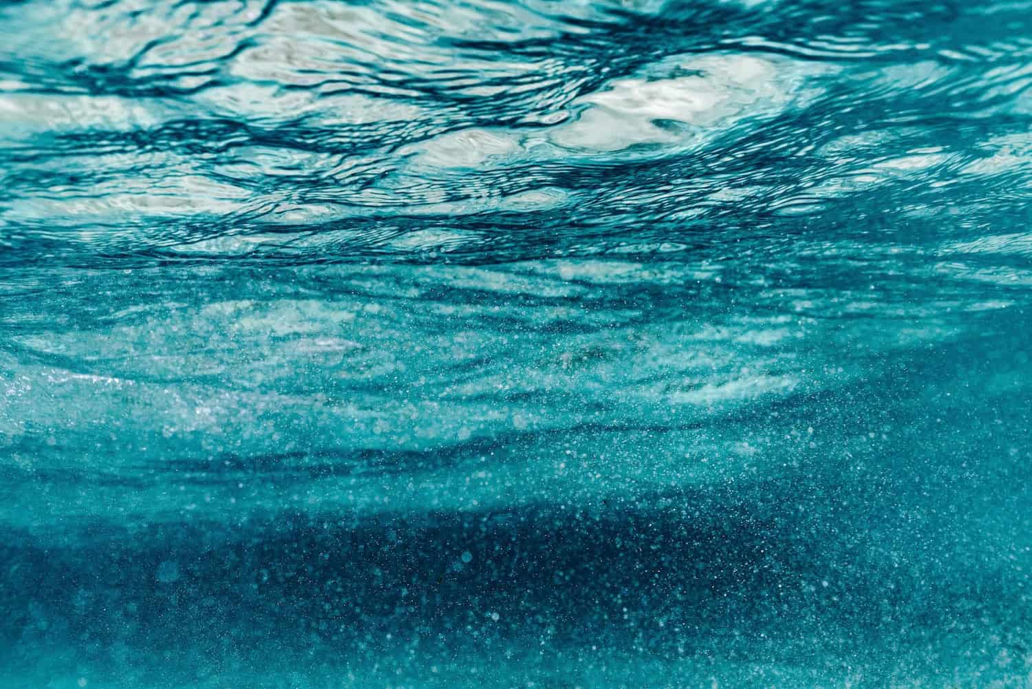 ‘All we need is sun and sea’: England’s first commercial seaweed farm ...