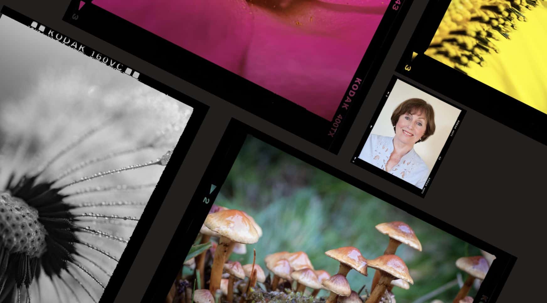 Meet the forensic ecologist who works with nature to solve crimes ...