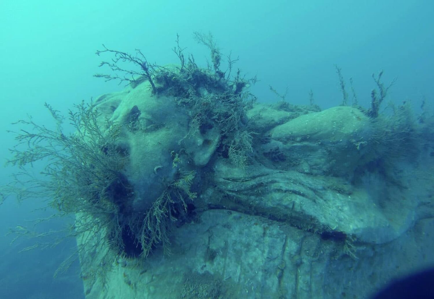 The Underwater Sculptures Tackling Illegal Trawling Positive News The Underwater Sculptures Tackling Illegal Trawling Positive News