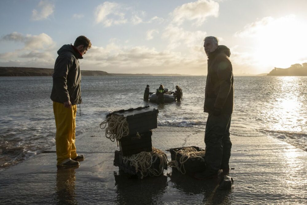 In pictures: sowing sea meadows in the UK to fight climate change ...