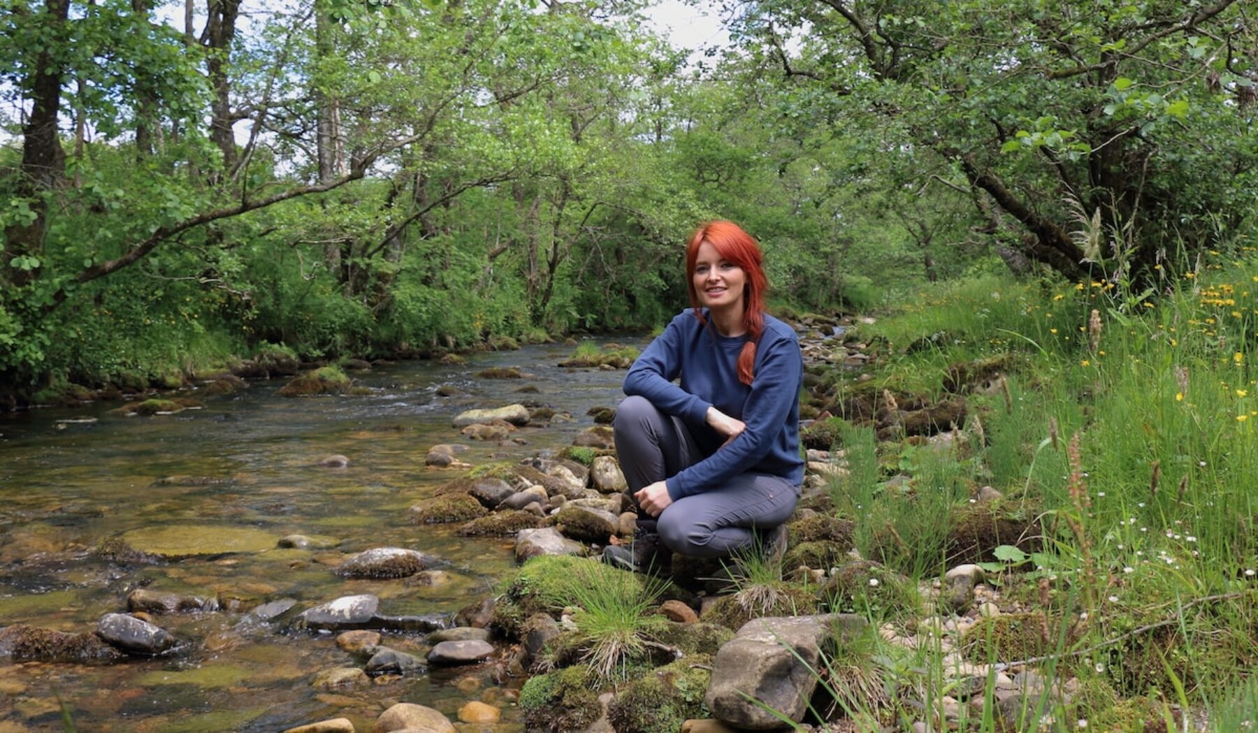The town that pulled off Britain’s most ambitious rewilding project ...