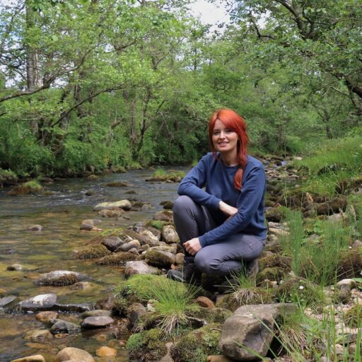 Rewilding Britain: 12 projects giving nature a boost - Positive News