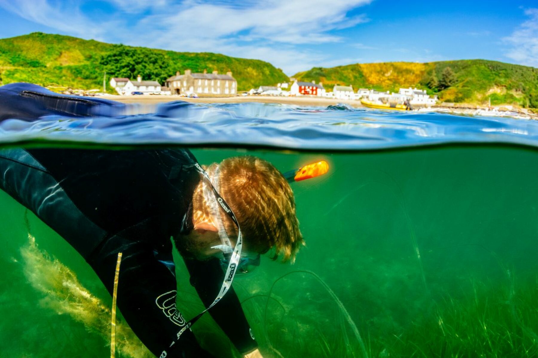 In pictures: sowing sea meadows in the UK to fight climate change ...