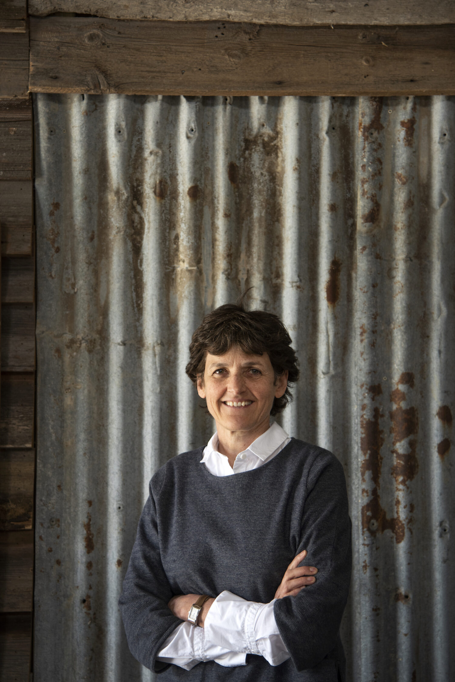 Wild riches: uncovering Knepp estate’s ambitious rewilding project ...