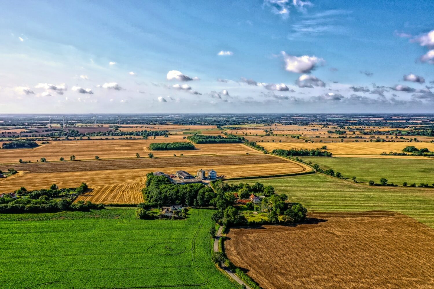‘Map of dreams’ reveals scope of English rewilding project - Positive News