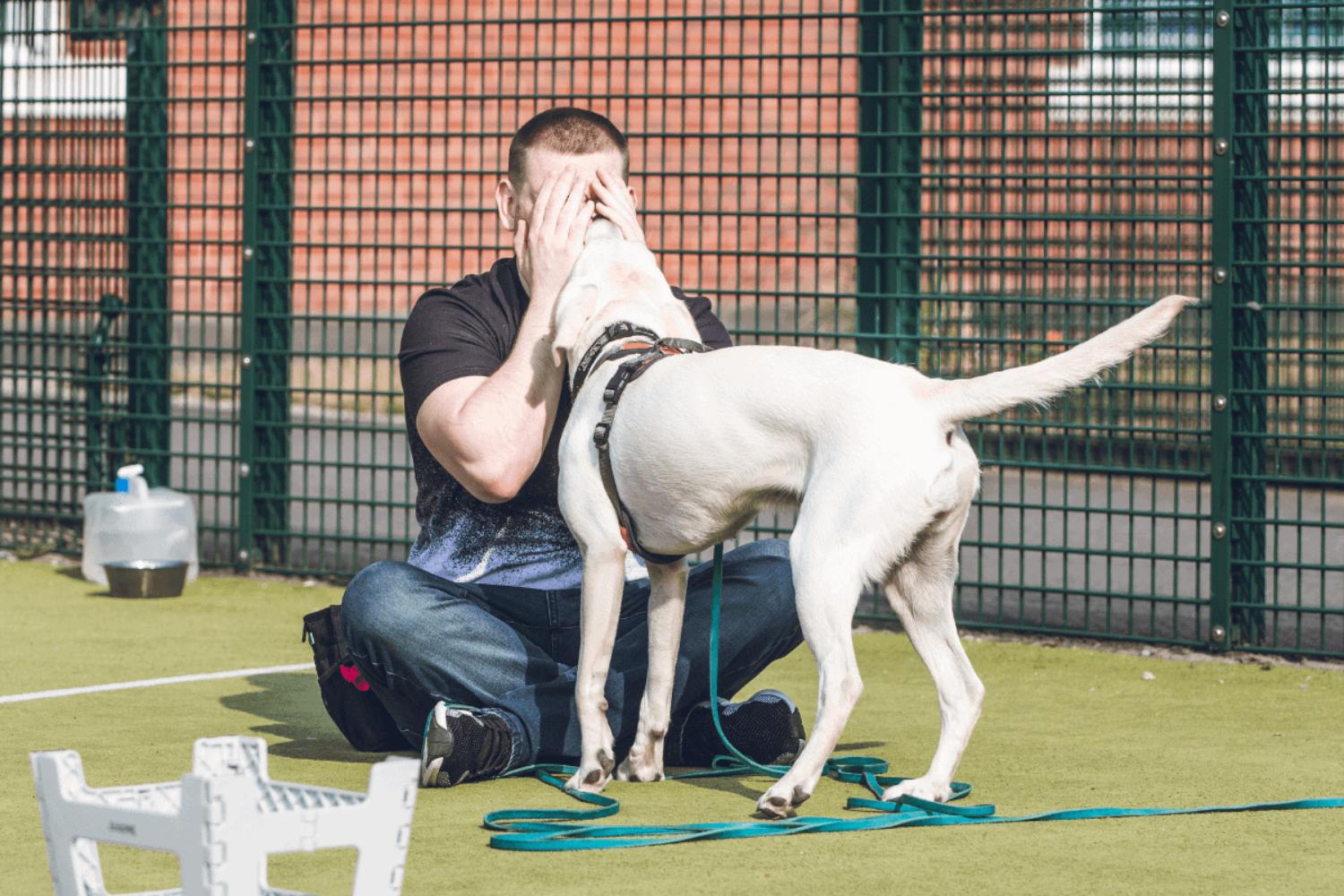 How man’s best friend is helping rehabilitate inmates in England ...