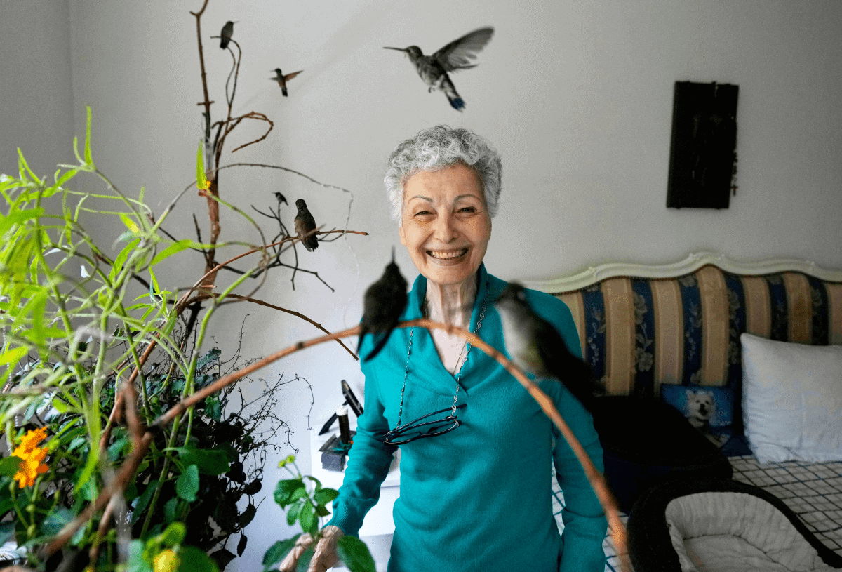 The Woman Who Turned Her Apartment Into A Hummingbird Hospital