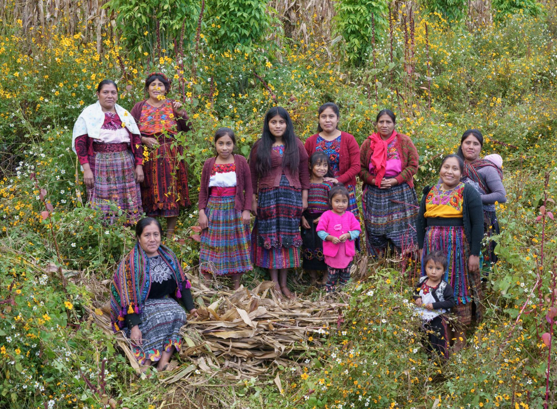 Circles of hope: the Guatemalan women reviving Indigenous concepts of ...