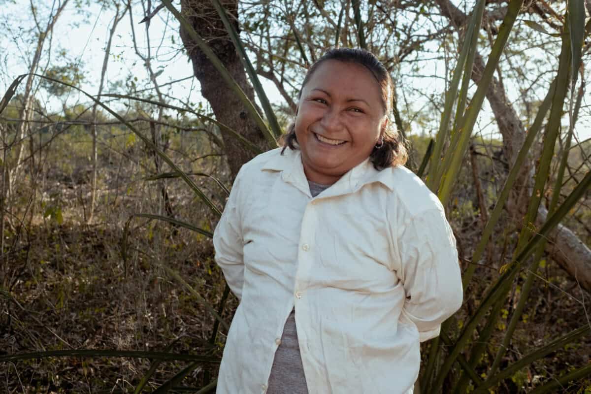 The Mexican honey co-op finding sweet success in a volatile sector ...