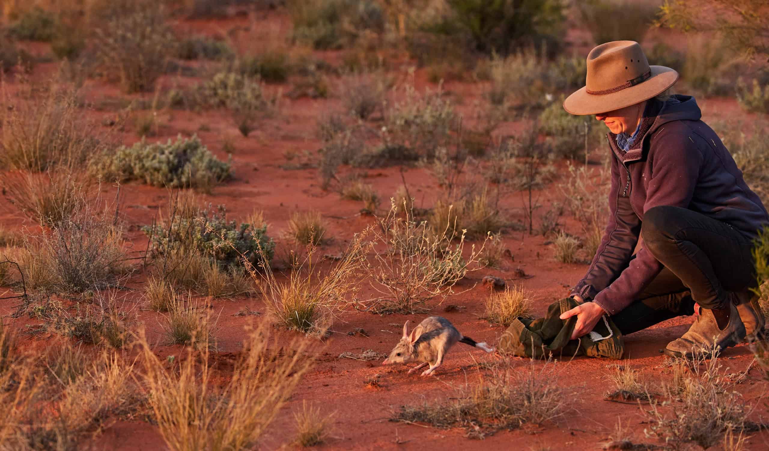 What went right this week: the ancient beast ‘back from the dead’, plus more - Positive News