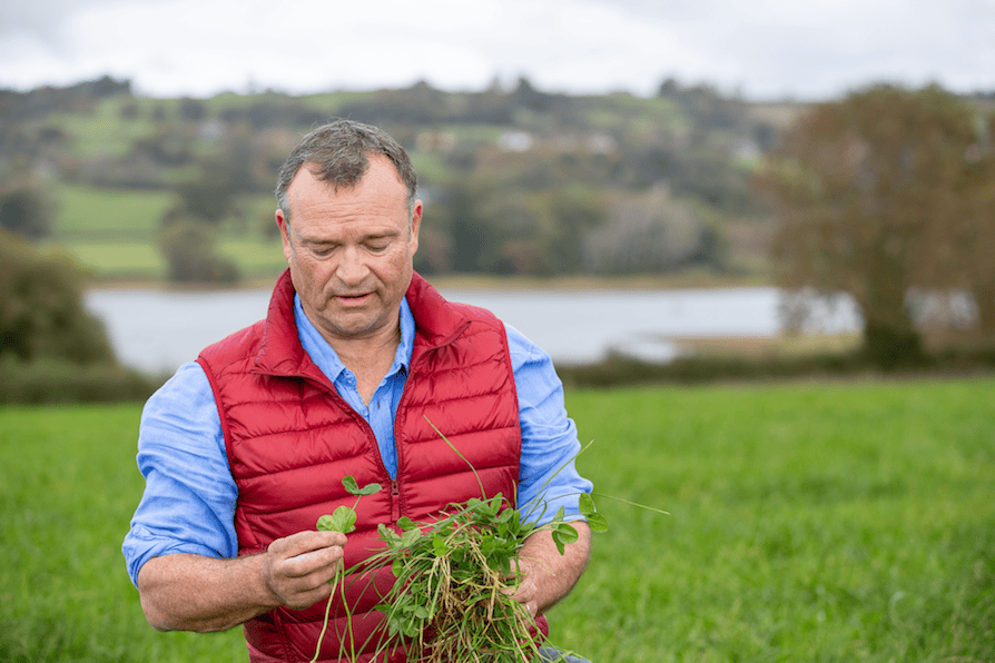 Regenerative agriculture isn’t misty-eyed nostalgia, it’s the future ...
